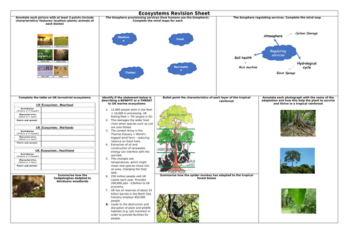 Ecosystems Revision summary sheet | Teaching Resources