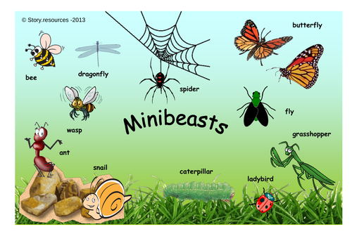 MINIBEASTS TOPIC RESOURCE SPRING EYFS KS1 UNDERSTANDING THE WORLD ...