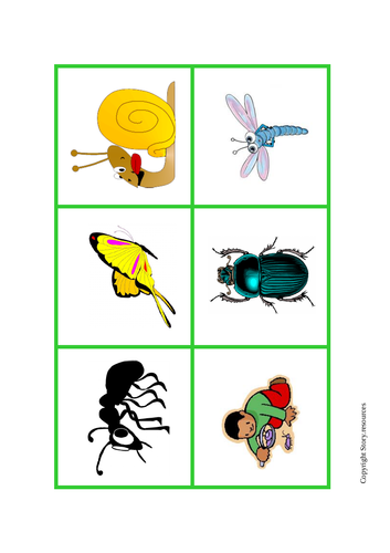 MINIBEASTS TOPIC RESOURCE SPRING EYFS KS1 UNDERSTANDING THE WORLD ...