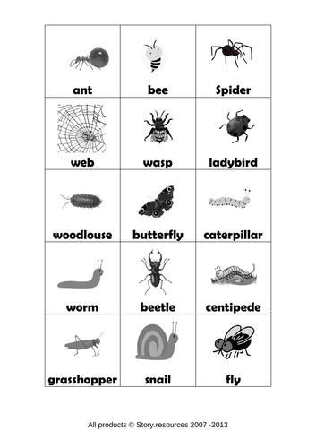 MINIBEASTS TOPIC RESOURCE SPRING EYFS KS1 UNDERSTANDING THE WORLD ...
