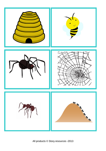 MINIBEASTS TOPIC RESOURCE SPRING EYFS KS1 UNDERSTANDING THE WORLD ...