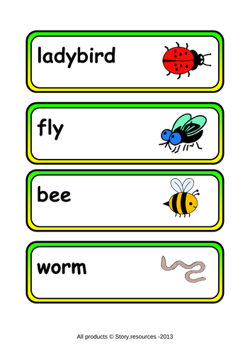 MINIBEASTS TOPIC RESOURCE SPRING EYFS KS1 UNDERSTANDING THE WORLD ...