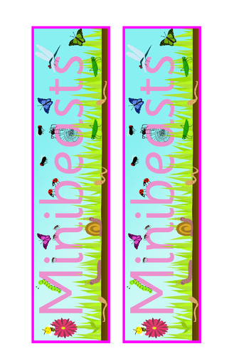 MINIBEASTS TOPIC RESOURCE SPRING EYFS KS1 UNDERSTANDING THE WORLD ...