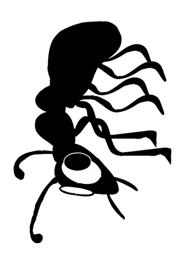 MINIBEASTS FOR DISPLAY 12 DIFFERENT INSECT POSTERS EYFS KS1 | Teaching ...