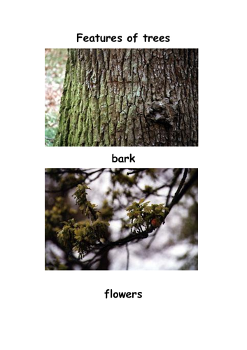 PERCY THE PARK KEEPER STORY RESOURCES MASKS LITERACY EYFS KS1 ...