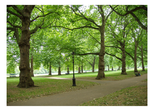 PERCY THE PARK KEEPER STORY RESOURCES MASKS LITERACY EYFS KS1 ...
