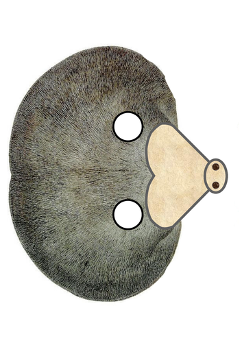 PERCY THE PARK KEEPER STORY RESOURCES MASKS LITERACY EYFS KS1 ...