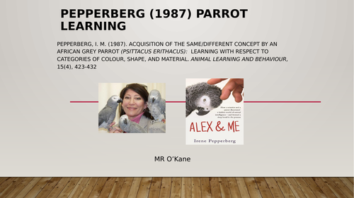 Pepperberg - 1987 | Teaching Resources
