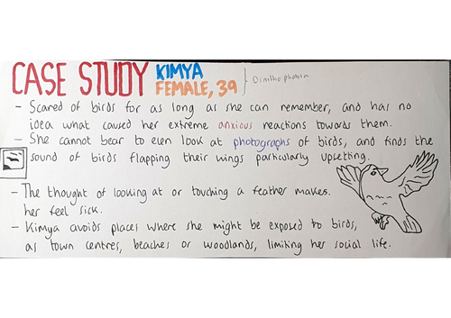 Anxiety - Handwritten notes - AL Psychology - Abnormal/clinical ...