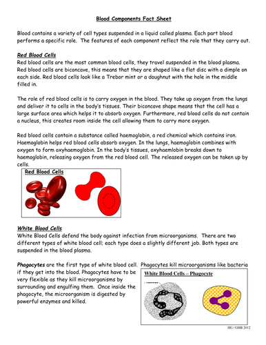 Components of blood - GCSE Biology | Teaching Resources