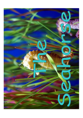 FREE RESOURCES UNDER THE SEA OCTOPUS SEAHORSE SHARK FACTS EYFS KS1 ...