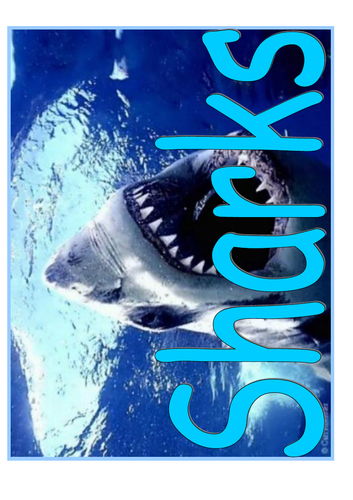 FREE RESOURCES UNDER THE SEA OCTOPUS SEAHORSE SHARK FACTS EYFS KS1 ...