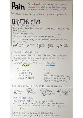 Health Psychology Hand Written Notes | Teaching Resources