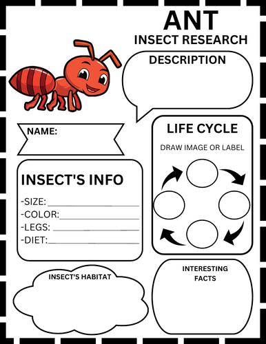 Bugs and Insects Activities Spring Science Research Template | Teaching ...