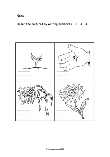SAM PLANTS A SUNFLOWER TEACHING RESOURCES FOR STORY ~ EYFS KS1 LITERACY ...
