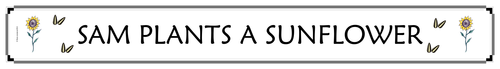 SAM PLANTS A SUNFLOWER TEACHING RESOURCES FOR STORY ~ EYFS KS1 LITERACY ...