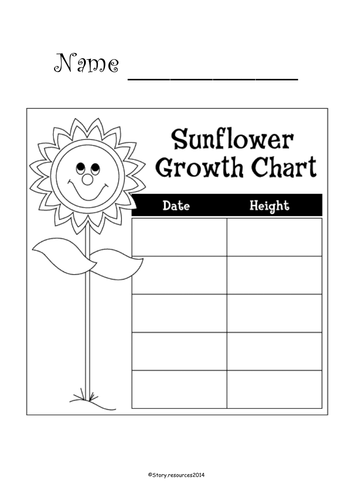 SAM PLANTS A SUNFLOWER TEACHING RESOURCES FOR STORY ~ EYFS KS1 LITERACY ...