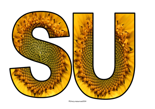SAM PLANTS A SUNFLOWER TEACHING RESOURCES FOR STORY ~ EYFS KS1 LITERACY ...