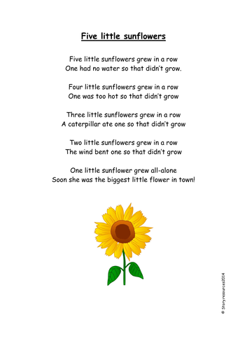 SAM PLANTS A SUNFLOWER TEACHING RESOURCES FOR STORY ~ EYFS KS1 LITERACY ...