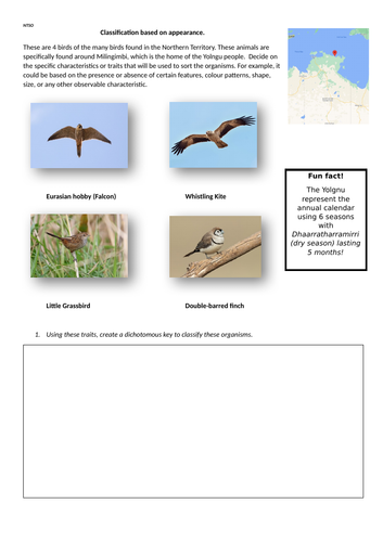 Indigenous Classification Dichotomous Key | Teaching Resources