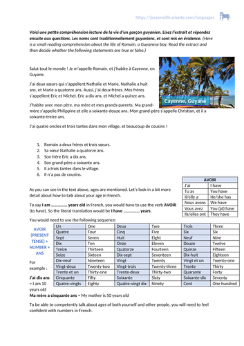 French Reading Comprehension - Family Members | Teaching Resources