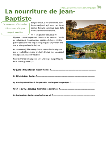 French Reading Comprehension - Food | Teaching Resources