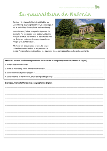 French Reading Comprehension - Food | Teaching Resources