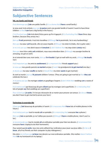 French Grammar - Present Subjunctive | Teaching Resources