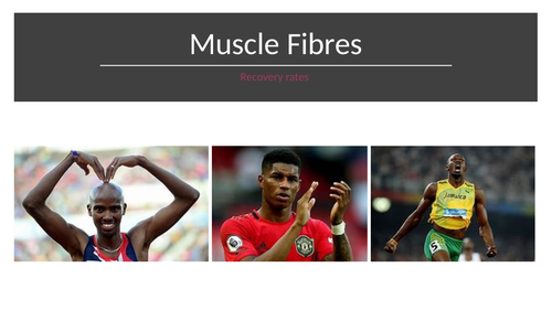OCR ALEVEL PE Skeletal and Muscular System | Teaching Resources