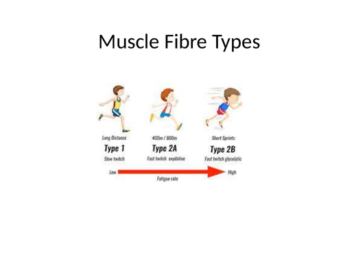 OCR ALEVEL PE Skeletal and Muscular System | Teaching Resources