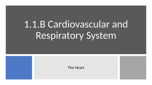 OCR ALEVEL PE Cardiovascular System | Teaching Resources