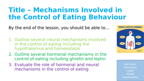 3. Eating Behaviour: Neural and Hormonal Mechanisms in Eating Control ...