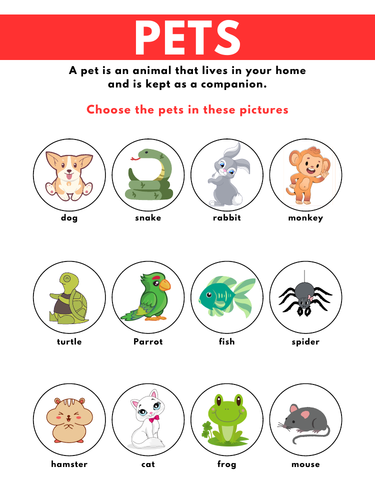 ♥6 Worksheets Animals♥ | Teaching Resources