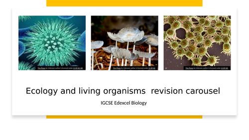 IGCSE biology revision speed dating | Teaching Resources