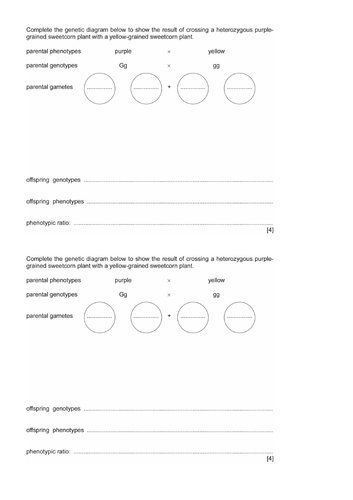 Inheritance - Past Paper Question Pack | Teaching Resources