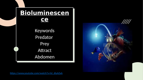 Bioluminescence | Teaching Resources