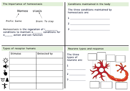 Biology paper 2 revision activities (no answers) | Teaching Resources