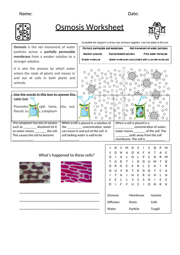 KS4 Osmosis Worksheet | Teaching Resources