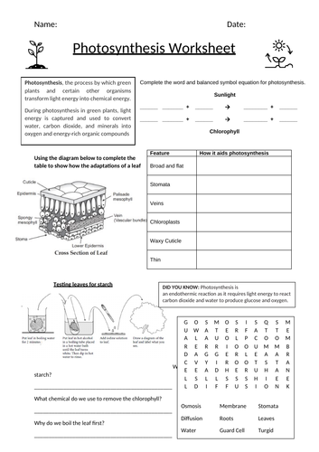 KS4 Photosynthesis Worksheet | Teaching Resources