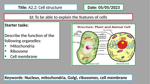 IB Biology A2.2: Cell strcture (First Exams 2025) | Teaching Resources