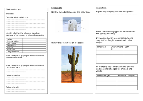 Exploring Science Revision Mats Year 7 | Teaching Resources