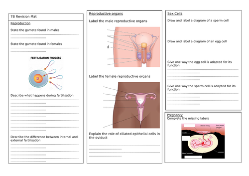Exploring Science Revision Mats Year 7 | Teaching Resources
