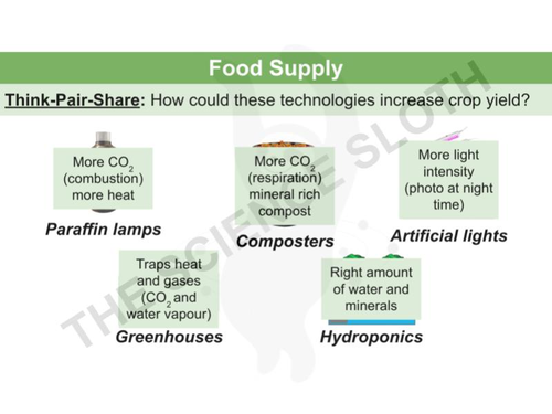 Food Supply - Agriculture, Monocultures and Livestock Production ...
