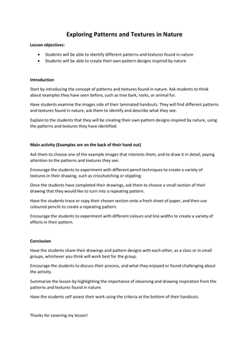 Patterns & Textures in Nature Cover Lesson | Teaching Resources