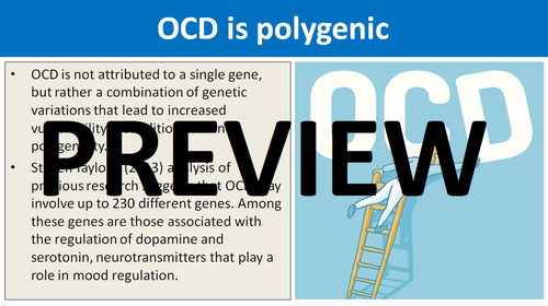 Biological approach: Explaining OCD - AQA A Level Psychology ...