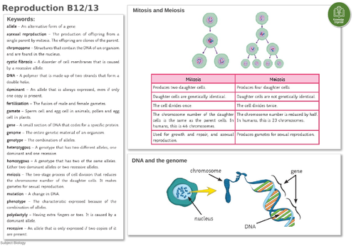 Aqa Combined Biology Knowledge Organisers Teaching Resources