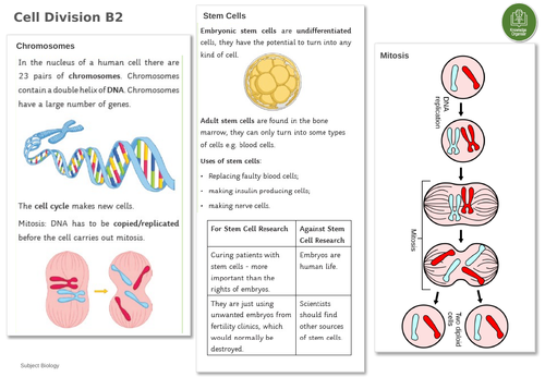 Aqa Combined Biology Knowledge Organisers Teaching Resources