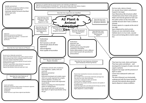 A2 Biology - Completed Animal & Plant Kingdom Revision Mat | Teaching ...