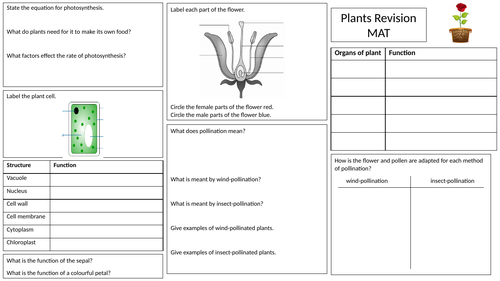 Plants revision MAT (4 pages in total, 2 pages of questions + 2 pages ...