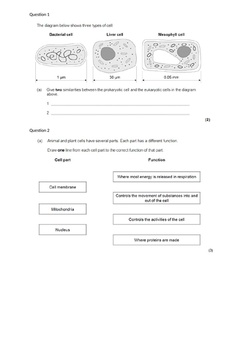 Cell Biology Revision Clock | Teaching Resources